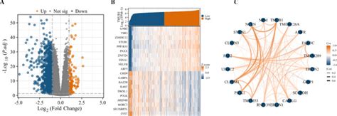 Tmub1 Expression Is Associated With The Prognosis Of Colon Cancer And
