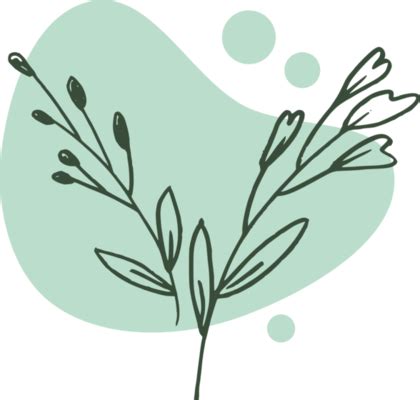 Blob Shape PNGs For Free Download