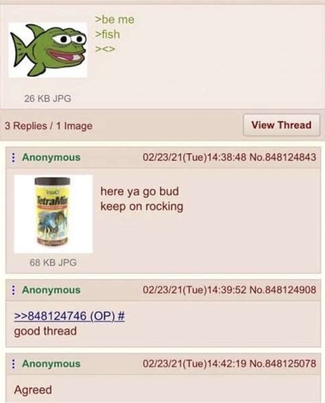 Anon Is A Fish Full Thread Rwholesomegreentext