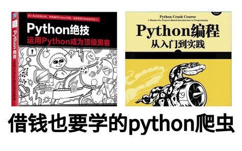 最新版python编程从入门到实践b站最详细的python教程 哔哩哔哩 bilibili