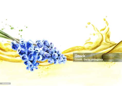 봄 무스카리 꽃 에센셜 오일 웨이브 흰색 배경에 고립 된 손으로 그린 수채화 그림 건강관리와 의술에 대한 스톡 벡터 아트 및 기타 이미지 건강관리와 의술 꽃 나무 꽃