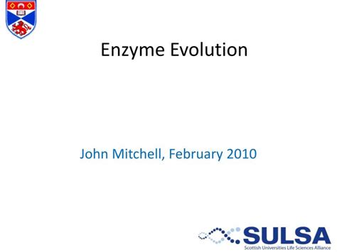 Ppt Enzyme Evolution Powerpoint Presentation Free Download Id 1835955