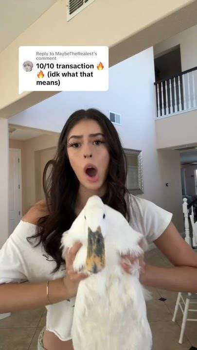 Tutorial 🔥🔥🔥 Transition Meme Funny Youtube