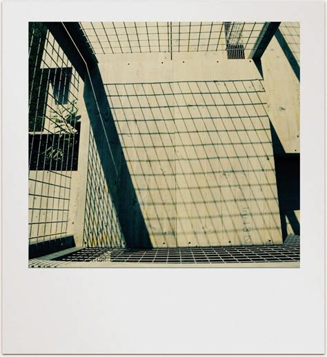 591 Shadow Days Elsa Monteiro