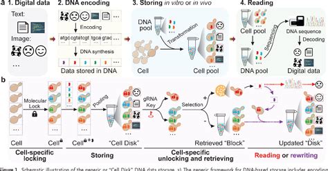 Figure From Cell Disk DNA Storage System Capable Of Random Reading And Rewriting Semantic