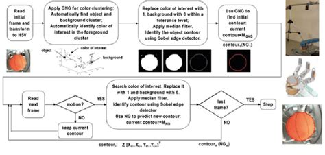 Object Segmentation And Tracking Adapted From Download Scientific Diagram