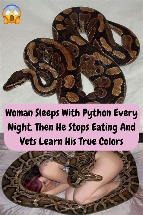 Woman Sleeps With Python Every Night Then He Stops Eating And Vets Learn His True Colors In