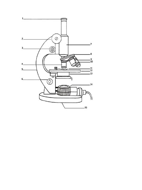 Microscope Labelling Pdf