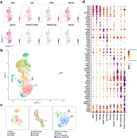 以scrna seq分析和轨迹推断为特征的循环cd4 cd8 双阳性t细胞的异质性 scientific reports x mol
