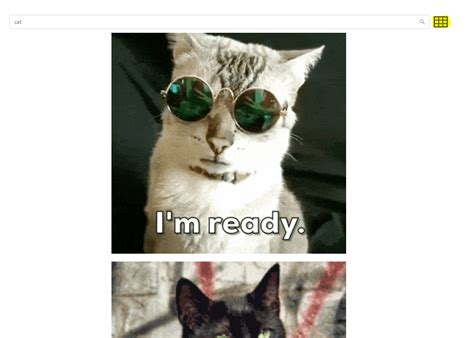 GitHub Ghokai Giphy Search