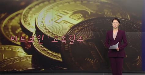 엘살바도르 비트코인으로 90 수익 대박지금이라도 사야 하나 앵커리포트