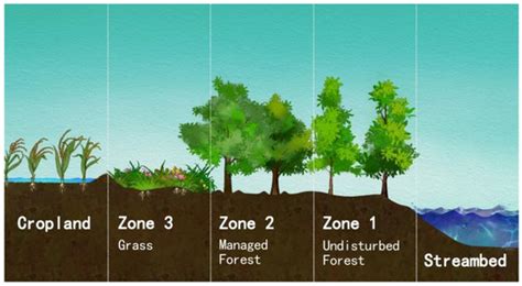 Impact Of Riparian Buffer Zone Design On Surface Water Quality At The