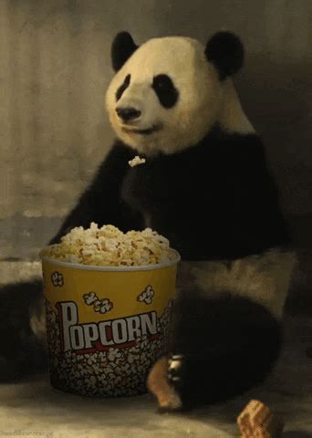 Eating Popcorn Meme S