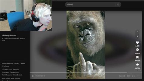 Xqc Gets Baited Youtube