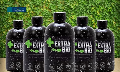 Men Vi Sinh Extra Bio Chính Hãng Mua Ở Đâu Uy Tín Đảm Bảo Giá Cả