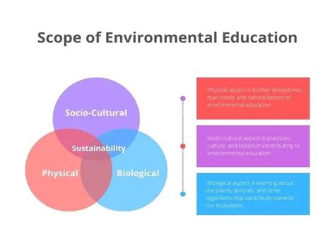 Environmental Education Definition Importance Scope Getmyuni