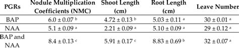 Effect Of Single And Double Pgrs On L Suaveolens Multiplication