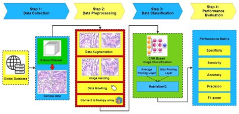 Proposed Model Processed Diagram Download Scientific Diagram