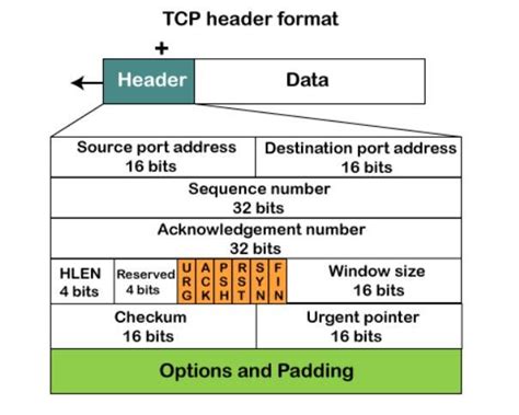 Tcp Life Cyclelive Demo Using Wireshark By Lihini Abeykoon Medium