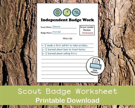 Brownie Girl Scout Badge Booklet Brownies Girl Scout Way By