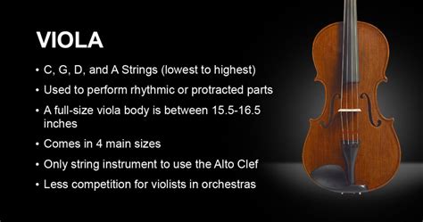 Violin Vs Viola Whats The Difference Caswell S Strings