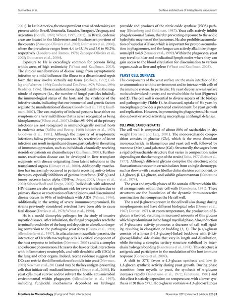 Solution Surface Architecture Of Histoplasma Capsulatum Studypool