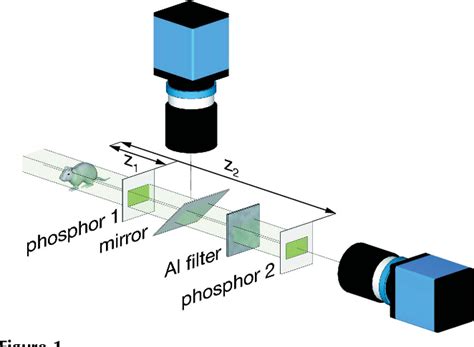 Figure 1 From Single Exposure Dual Energy Subtraction X Ray Imaging Using A Synchrotron Source
