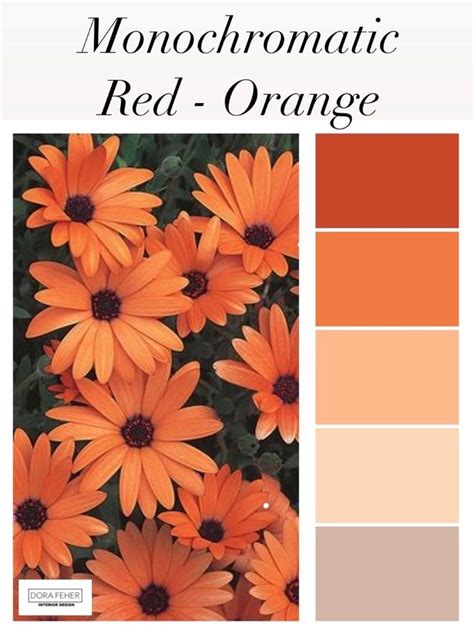 Monochromatic Red Orange Color Scheme