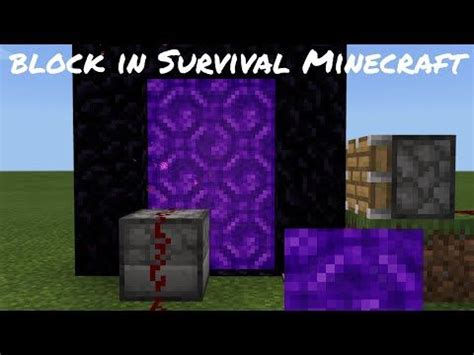 Nether Portal Block