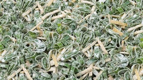 대파 초록잎 절대 버리지 마세요 이거 먹으려고 파 사는 날만 기다립니다 쉽고 간단하면서 맛 좋은 꿀팁 레시피💯 평생 써먹는 대파 요리 만드는법🥇 대파잎전 맛있게