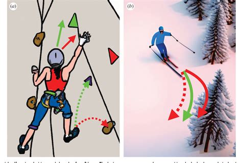 Figure 1 From Self Motion Perception And Sequential Decision Making