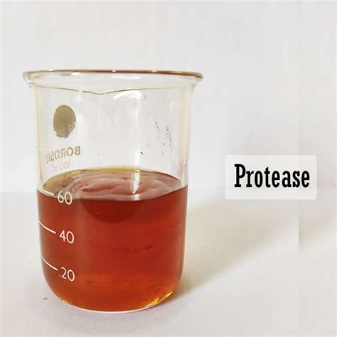 Protease Enzyme Liquid At ₹ 2000 Kg Peptidase In Tiruchirappalli Id 2854644576197