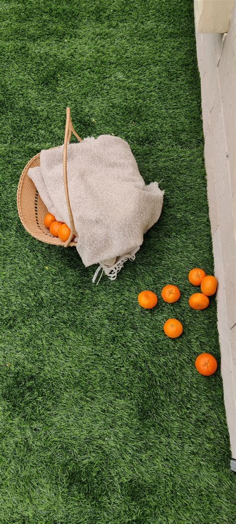 vaidurya vernekar on linkedin freelancers it s the everyday effort that truly counts choosing to…