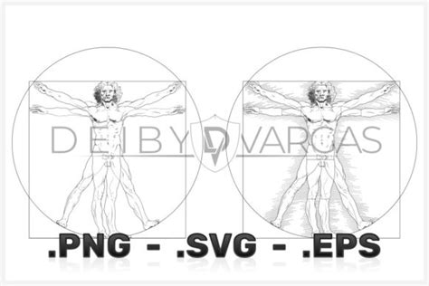 Leonardo Da Vinci Vitruvian Man Vector