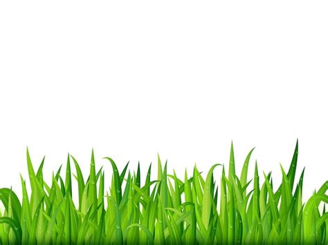 Grass Animated Vectors And Illustrations For Free Download Freepik