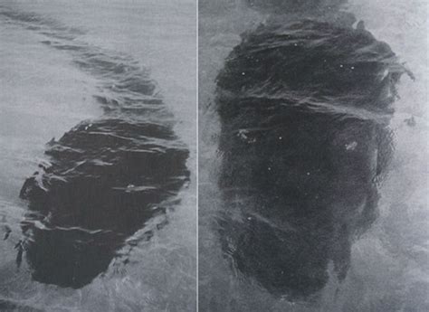 The Hook Island Sea Monster — Astonishing Legends