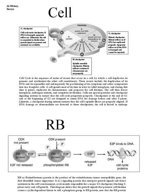 Word Assignment Pdf