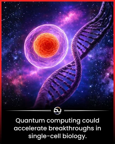 Discover Quantum Computers Could Unlock Secrets Of Individual Cells