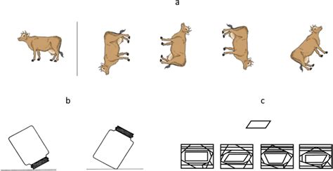 Examples Of The Spatial Tests Used A Mental Rotation Neuburger Et