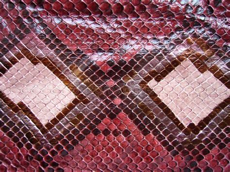 Red Skin Of Python Snake Stock Photo Image Of Snake