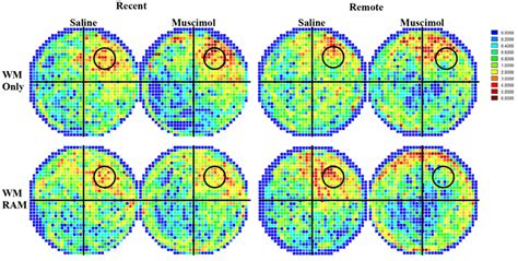 Average Dwell Times In Discrete Areas Of The Pool For All Eight