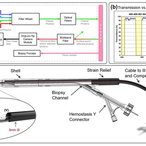 a transmittance of broadband light through custom multiband filter