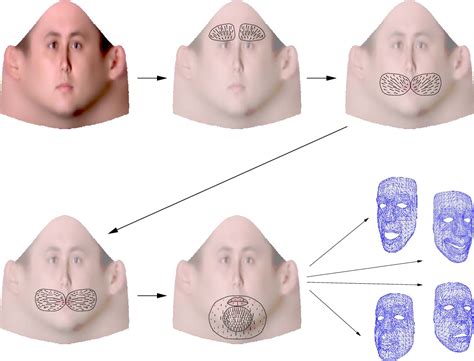 Figure 1 From Adaptive Deformable Models Semantic Scholar