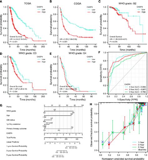 Survival Curve Receiver Operating Characteristic Roc Curve And
