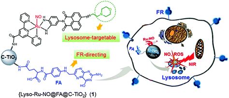 Tumor Cell Specific And Lysosome Targeted Delivery Of Nitric Oxide For Enhanced Photodynamic