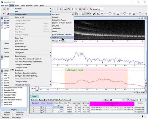 Sound Window Presets Cornell Lab Of Ornithology Cornell University