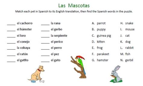 6th Grade Spanish Worksheets