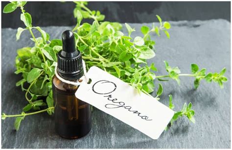 15 Essential Oils For Seborrheic Keratosis Your Health Remedy