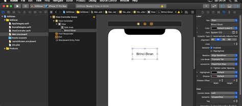 İkili Ekran İle Çalışma Viewcontroller Ekleme Ios Swift 5 Blog