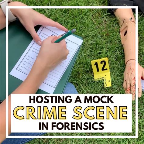 Create A Crime Scene Evidence Board The Perfect No Fuss Project For